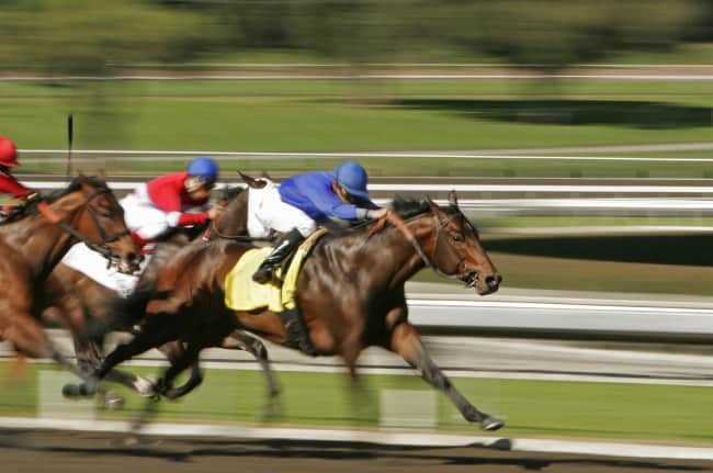 Horse Racing Odds: How to Read Odds & Calculate Payouts