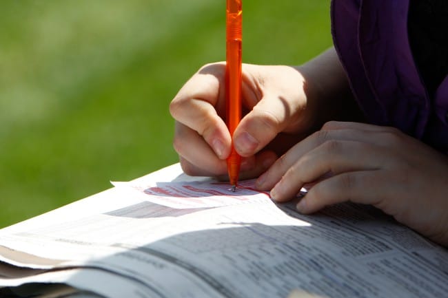 Horse Racing Odds: How to Read Odds & Calculate Payouts